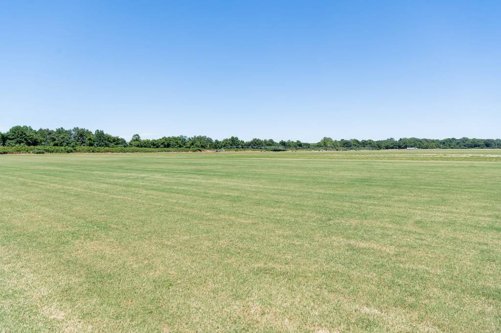 Tifway 419 Bermuda Sod in Arkansas | Poinsett Turfgrass